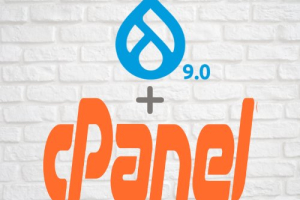 Desplegando un proyecto Drupal 9 en un hosting con cPanel | Softwin Perú